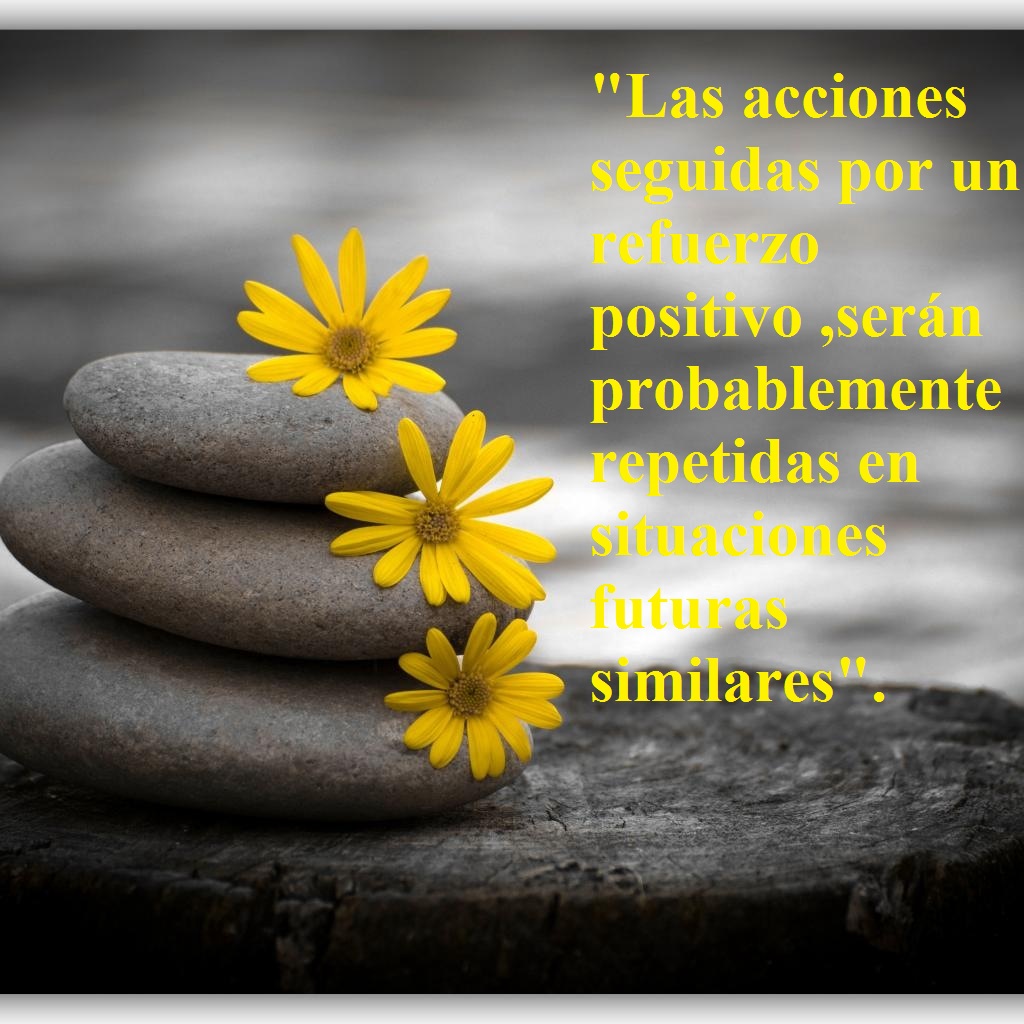 ATENCIÓN DEL PROFESOR/Refuerzo Positivo